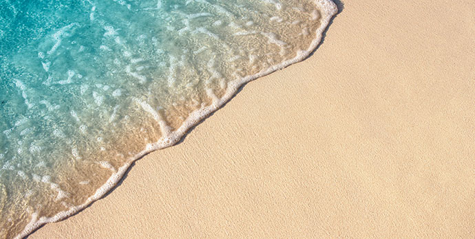 Florida: The Startup Sandbox | Site Selection Magazine