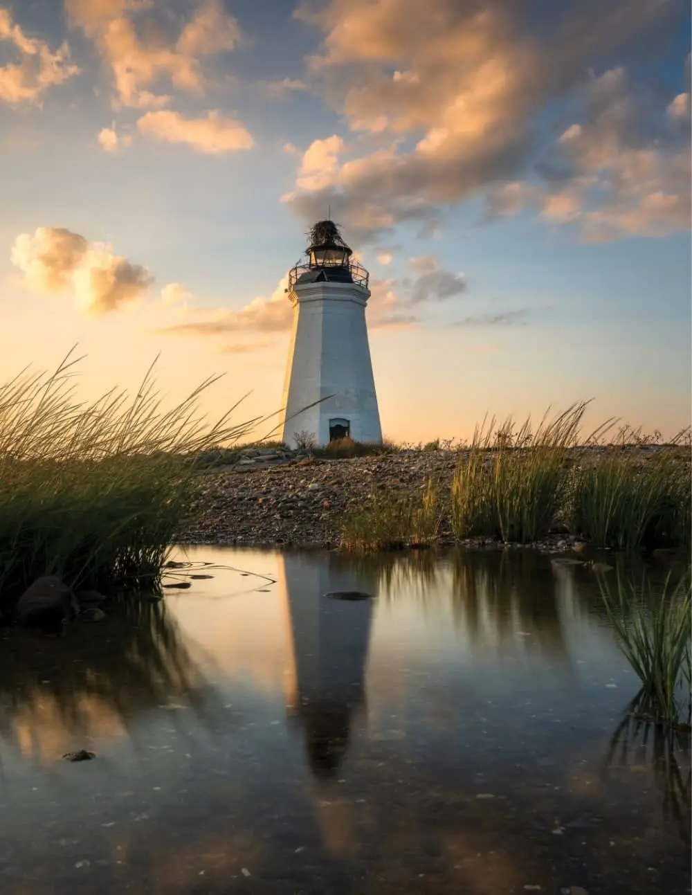 Investor Watch: February 15, 2024 - Site Selection Magazine